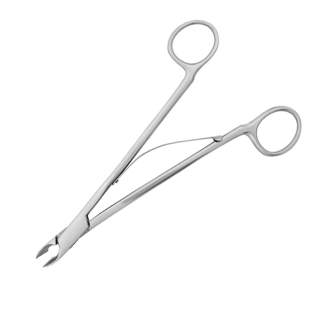 Molar Cutter - MedicalXpress